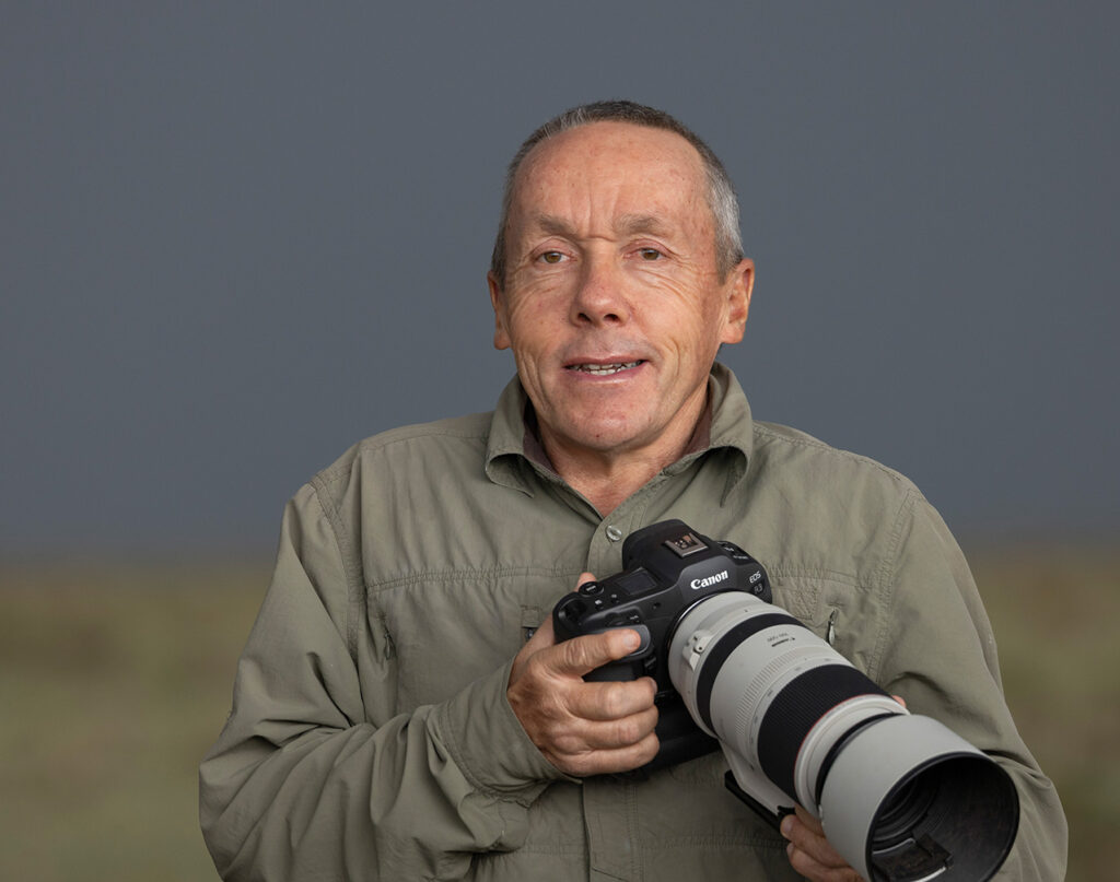 Temple of tigers - Wilderness Uncut