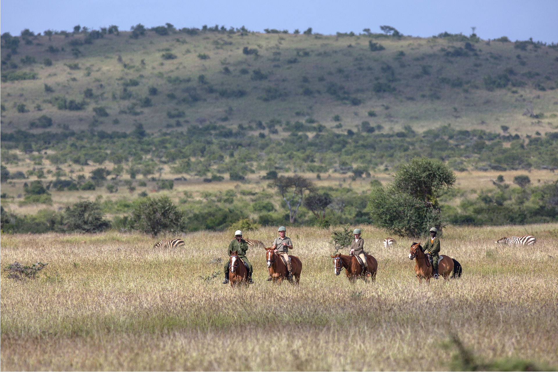 ELEWANA LOISABA - Wilderness Uncut