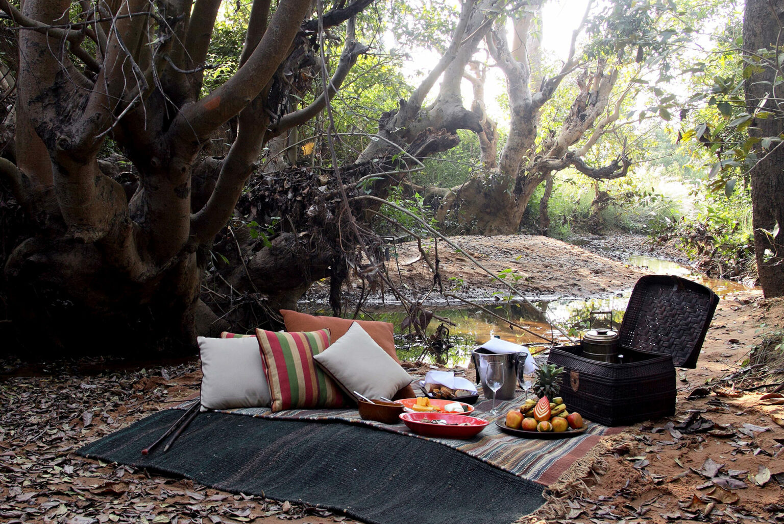 Samode Safari Lodge – Luxury Wildlife Lodge in Bandhavgarh - Wilderness ...
