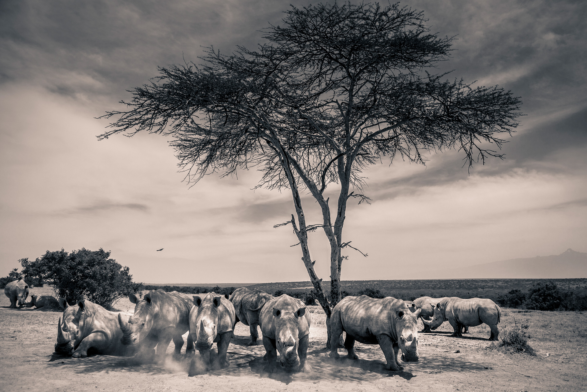 solio lodge - Wilderness Uncut