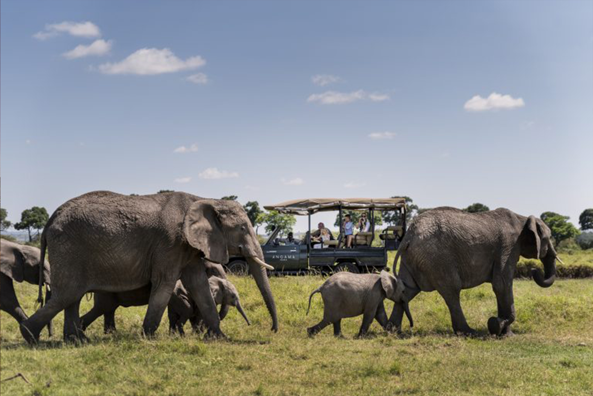Angama Mara: Luxurious Safari Lodge Overlooking the Maasai Mara ...