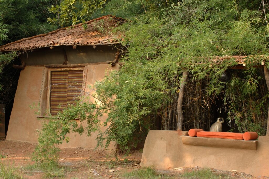 Mahua Kothi – Luxury Safari Lodge in Bandhavgarh National Park ...